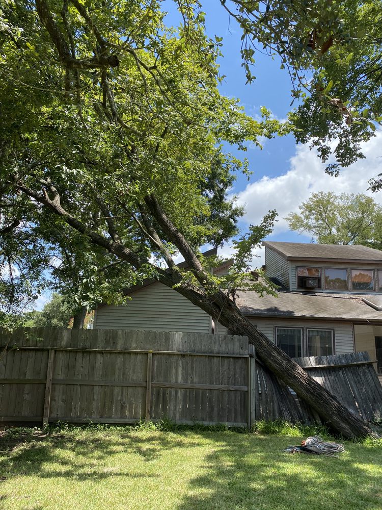 LUXURY TREE SERVICE AND LANDSCAPE - Updated July 2025 - 12 Photos ...