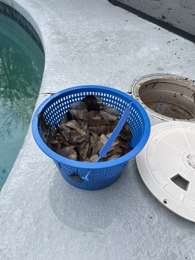 PINCH A PENNY POOL PATIO SPA - Updated January 2026 - 10 Photos & 24 ...