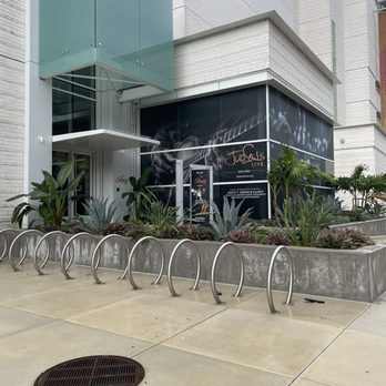 JUDSON’S LIVE - Updated May 2025 - 154 Photos & 34 Reviews - 445 S ...