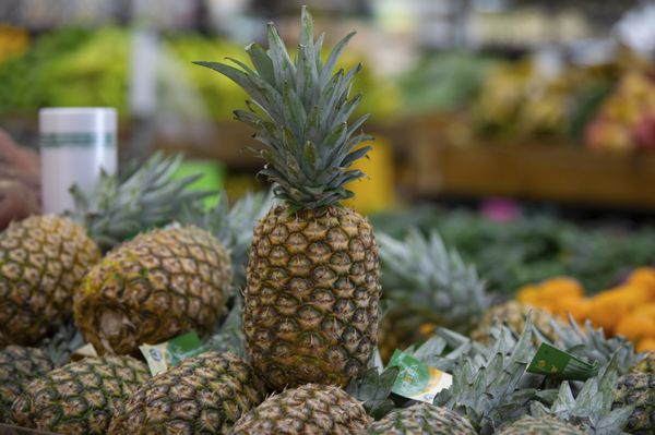 JAY’S MARKET - Updated January 2026 - 21 Photos & 25 Reviews - 4000 W ...