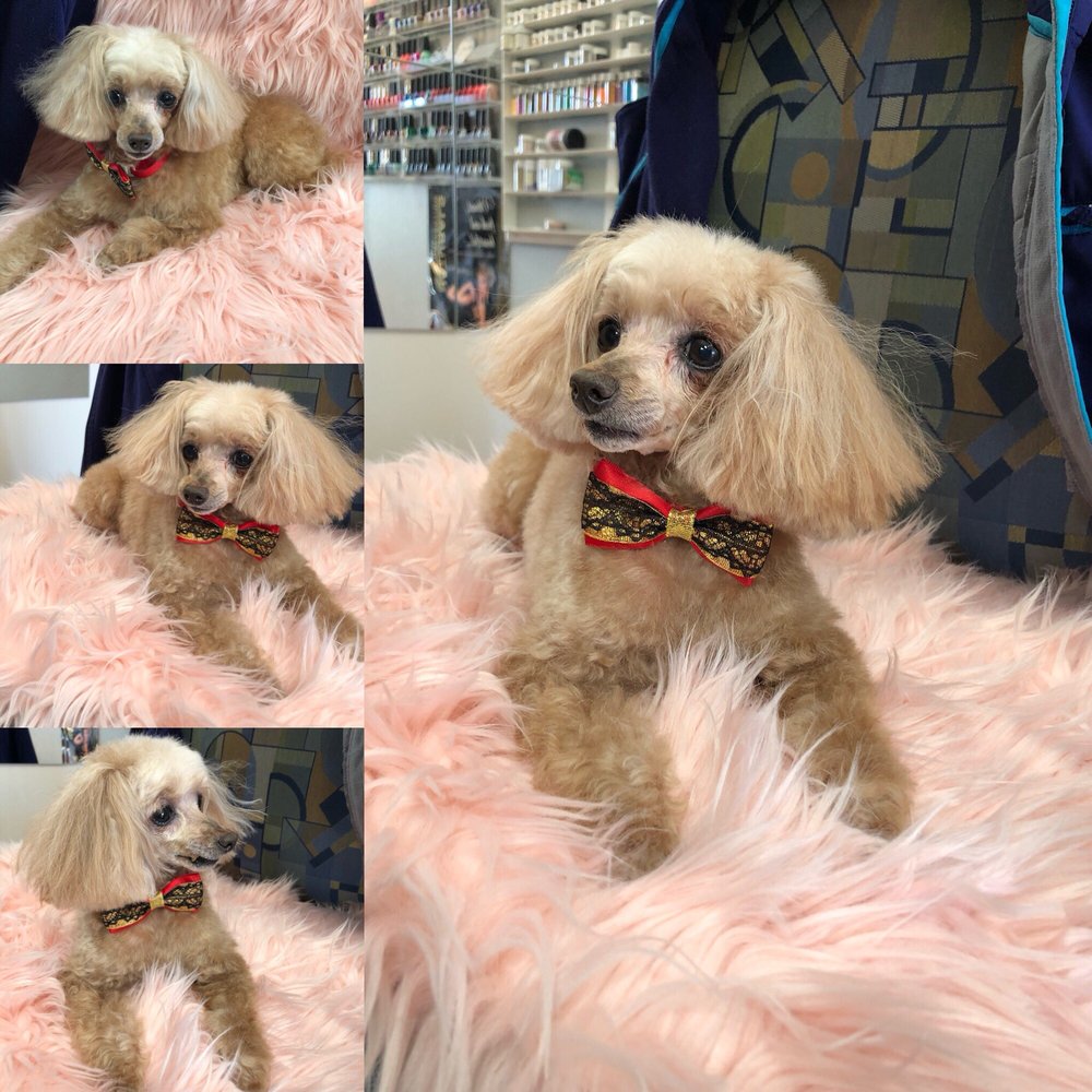 ALL FUR LOVE - 174 W Telegraph St, Washington, Utah - Fur Clothing ...