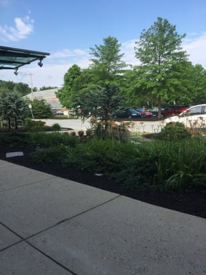 BRANDYWINE HUNDRED LIBRARY - Updated January 2026 - 20 Photos & 14 ...