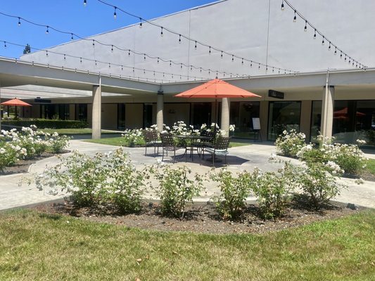 LAGUNA DESIGN CENTER - Updated January 2026 - 12 Photos - 23811 Aliso ...