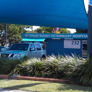 HEYDEN LANCE - Updated March 2025 - 18 Raglan St, St Lucia Queensland ...