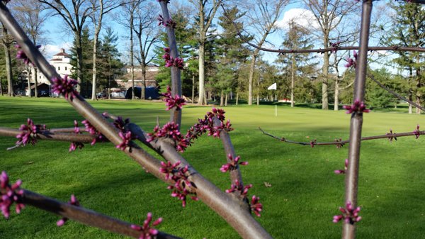 BROADACRES GOLF CLUB - Updated May 2026 - 12 Photos - 2 Midrise Cir ...