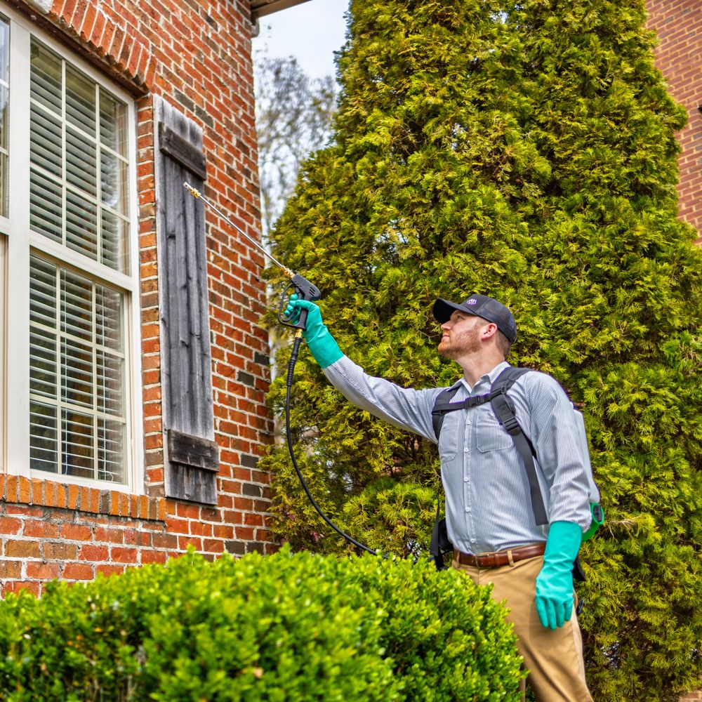 EVERGREEN PEST SOLUTIONS - Updated January 2026 - 13 Photos - 151 Brown ...