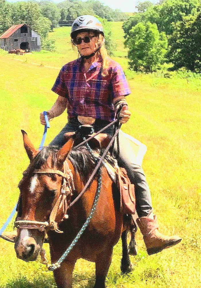 DOUBLE “O” STABLES BOARDING, TRAINING & RIDING LESSONS - Updated ...