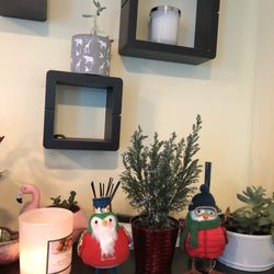 MOONLIGHT SPA - 55 Photos & 108 Reviews - Reflexology - 722 Washington ...