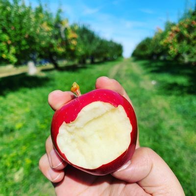 MASKER ORCHARDS - Updated October 2024 - 359 Photos & 221 Reviews - 45 ...