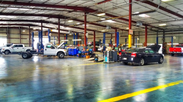 WILL TIESIERA FORD - Updated January 2026 - 19 Photos & 71 Reviews ...