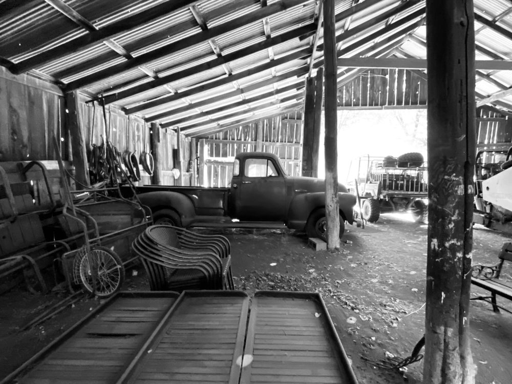 RANKIN RANCH - 176 Photos & 30 Reviews - Horseback Riding - 23500 ...