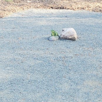 BIXBY KNOLLS NATIONAL PARK - Updated December 2025 - 50 Photos - 296 E ...