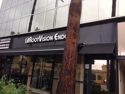 ROOTVISION ENDO - Updated November 2025 - 34 Photos & 294 Reviews ...