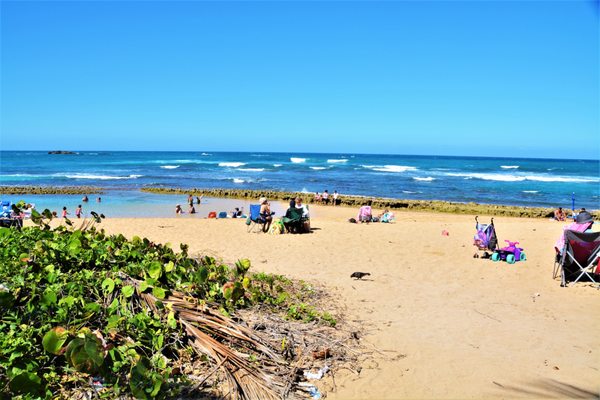 PIÑONES - Updated December 2025 - 164 Photos & 81 Reviews - Campamento ...