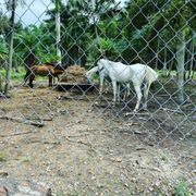 BLUE LAGOON FARM - MIAMI - 36 Photos & 12 Reviews - 14451 SW 252nd St ...