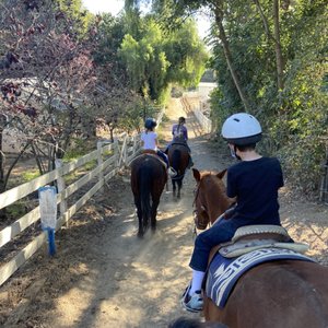 PALOS VERDES HORSE RENTALS - 93 Photos & 68 Reviews - 4057 Vía Opata ...