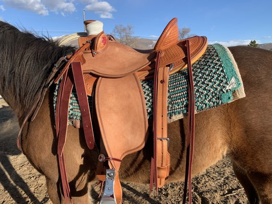 D BAR M WESTERN STORE - Updated March 2025 - 35 Photos & 37 Reviews ...