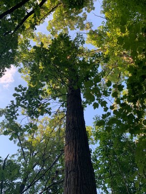 ROCHESTER MUNICIPAL PARK - Updated September 2025 - 92 Photos & 19 ...