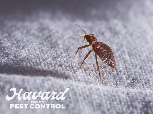 HAVARD PEST CONTROL COLUMBIA, MS - Updated December 2024 - 22 Photos ...