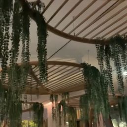 AKIRA BACK - Updated December 2025 - 573 Photos & 204 Reviews - 233 NE ...