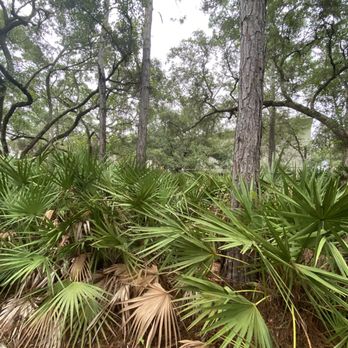 APALACHICOLA NATIONAL ESTUARINE RESEARCH RESERVE - Updated December ...