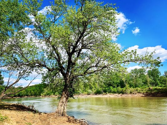 SIMPSON LAKE - Updated December 2025 - 1224 Marshall Rd, Valley Park ...