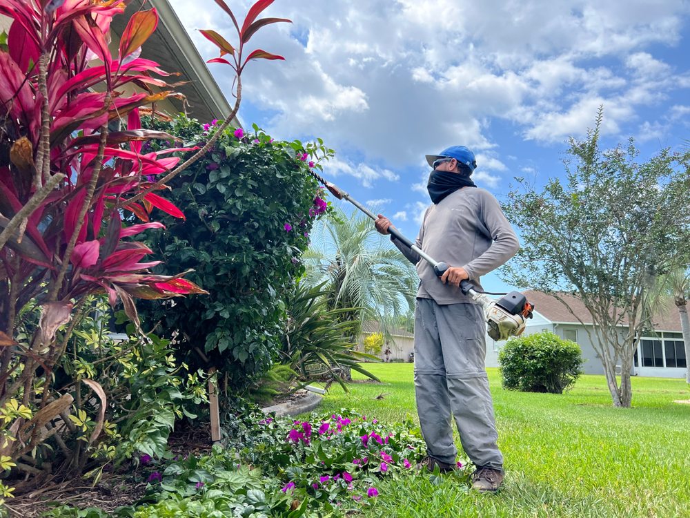 Tampa Yard Team - Trusted Since 2024 - Updated July 2025 - Tampa Bay ...