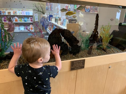 COOK MEMORIAL PUBLIC LIBRARY DISTRICT - Updated December 2025 - 37 ...