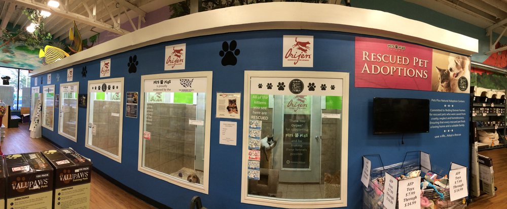 PETS PLUS NATURAL - Updated June 2025 - 42 Photos & 38 Reviews - 111 ...