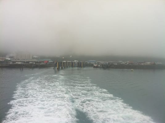 ALASKA MARINE HIGHWAY SYSTEM - Updated February 2025 - 14 Photos - 7037 ...