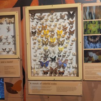 MUSEUM OF SCIENCE - Updated June 2024 - 1407 Photos & 770 Reviews - 1 ...