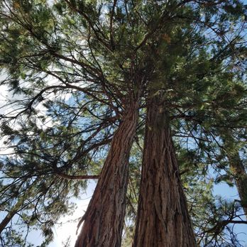 SENTINEL CAMPGROUND - Updated October 2025 - 43 Photos & 20 Reviews ...