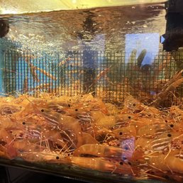 MANDARIN KITCHEN - Updated January 2026 - 753 Photos & 517 Reviews ...