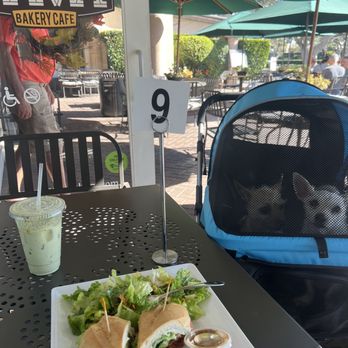 JAVA BAKERY CAFE - Updated February 2025 - 323 Photos & 188 Reviews ...