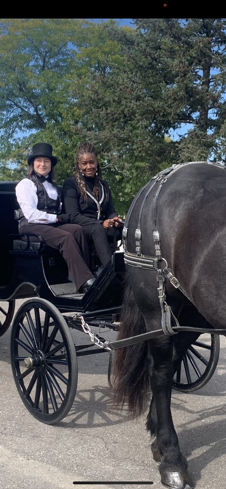TOP HATS AND TAILS CARRIAGE - Request a Quote - 3301 Hummer Lake Dr ...