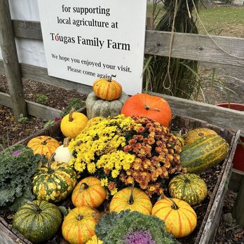 TOUGAS FAMILY FARM - Updated September 2025 - 382 Photos & 212 Reviews ...