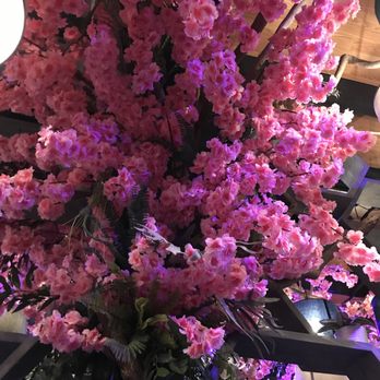 LAZY FISH - 423 Photos & 456 Reviews - 10 E Patrick St, Frederick ...