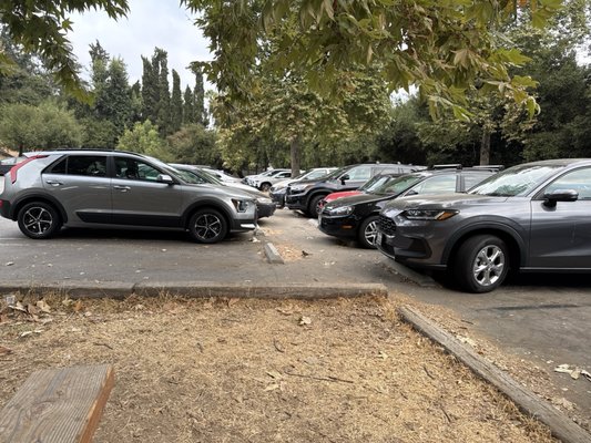 FRYMAN CANYON PARK - Updated October 2025 - 326 Photos & 119 Reviews ...