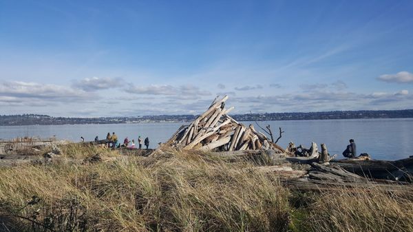 POINT ROBINSON PARK - 185 Photos & 39 Reviews - 3705 SW Point Robinson ...