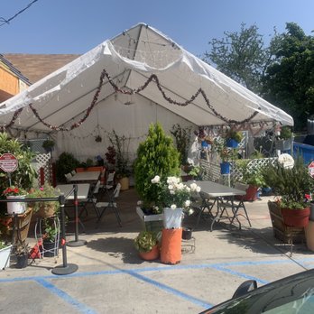 1ST STREET BURGERS - Updated July 2024 - 106 Photos & 132 Reviews ...