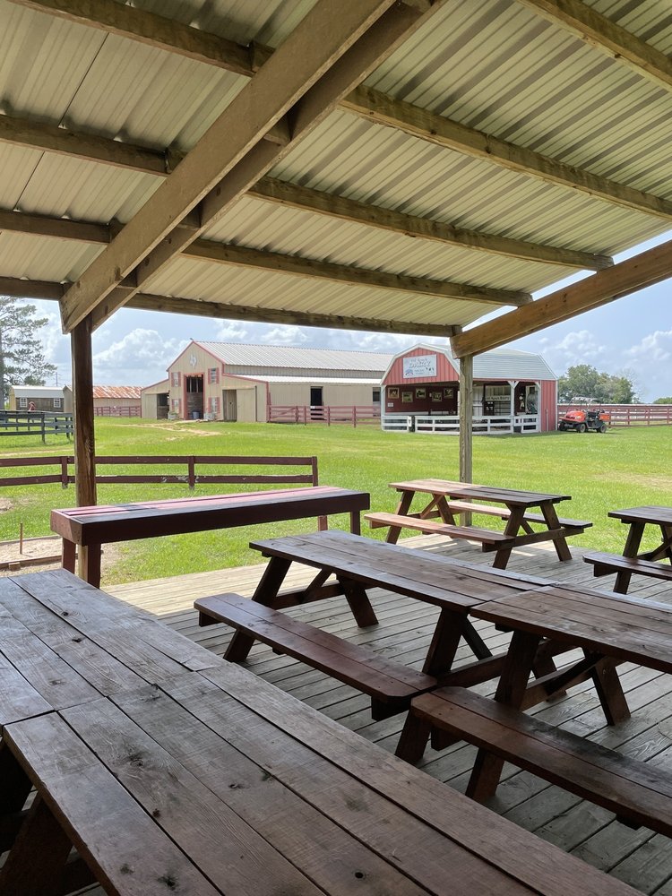 OIL RANCH - Updated June 2024 - 81 Photos & 46 Reviews - 23501 ...