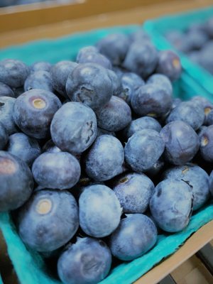 PEDRICK PRODUCE - 921 Photos & 442 Reviews - 6850 Sievers Rd, Dixon, CA ...