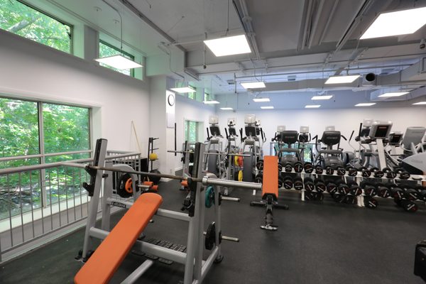 CLUB ATWATER - Updated January 2026 - 36 Photos - 3505 Avenue Atwater ...