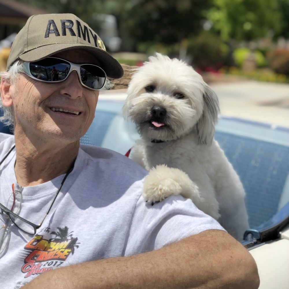 Lisa Elson's Instagram, Twitter & Facebook on IDCrawl