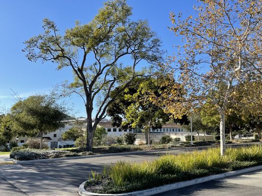 CSU CHANNEL ISLANDS - Updated January 2025 - 161 Photos & 51 Reviews ...