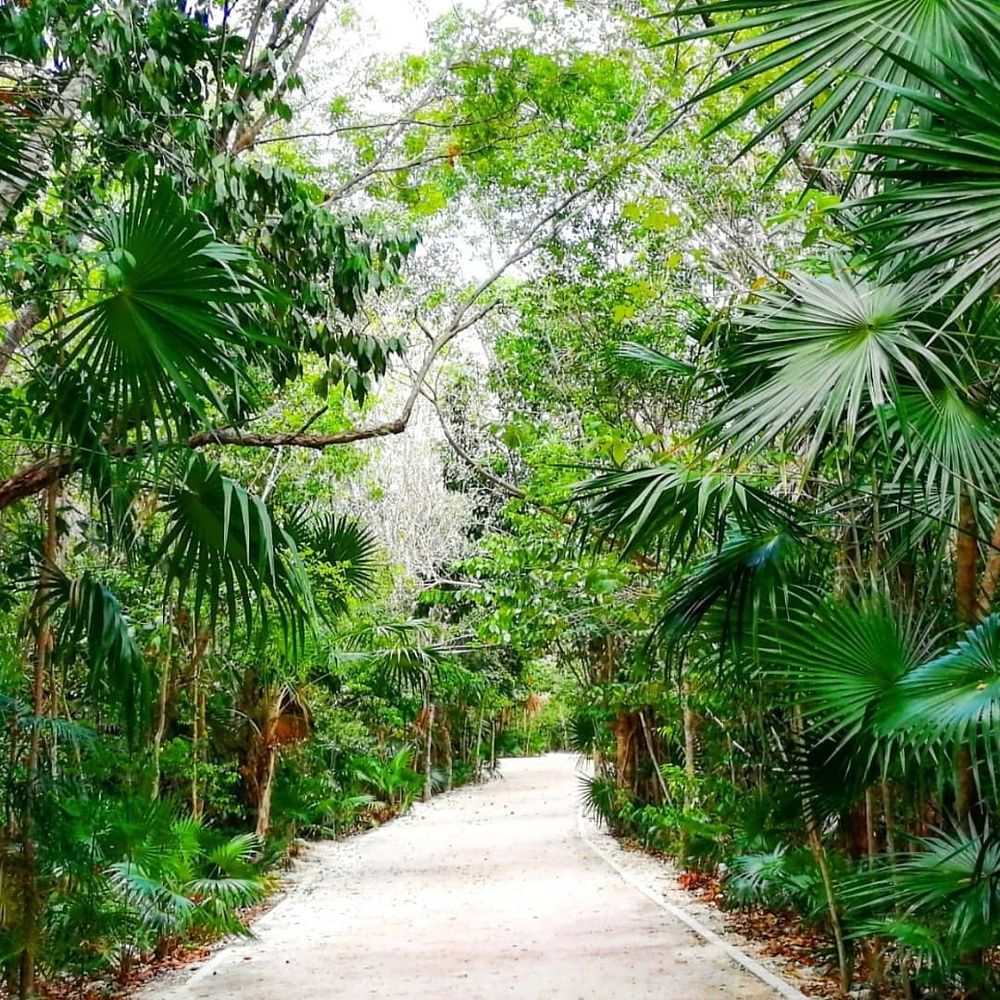 PARQUE URBANO KABAH - 58 Photos & 26 Reviews - Av Nichupte S/N, Cancún ...