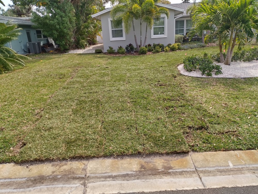 SOD INSTALL & SOD REMOVAL - Updated May 2025 - Request a Quote - 11 ...