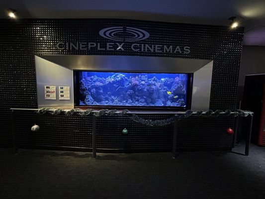 CINEPLEX CINEMAS VARSITY AND VIP - Updated December 2025 - 98 Photos ...