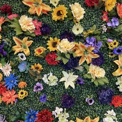 THRIVE SOLUTIONS - 16 Photos & 13 Reviews - 5584 S Fort Apache Rd, Las ...