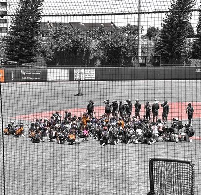 LES MURAKAMI STADIUM - Updated June 2026 - 260 Photos & 82 Reviews ...